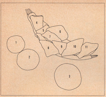 Roly-Poly Balls and Pillows Instant Download PDF 17 pages – Patterns ...